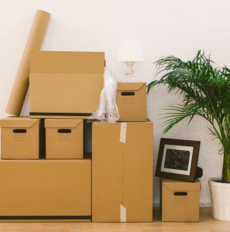 We have all the moving and shipping supplies you need. – SupplyRus